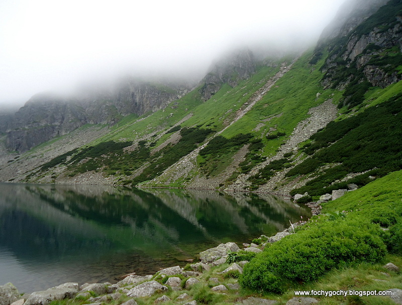 Kulinarne fochy Gochy