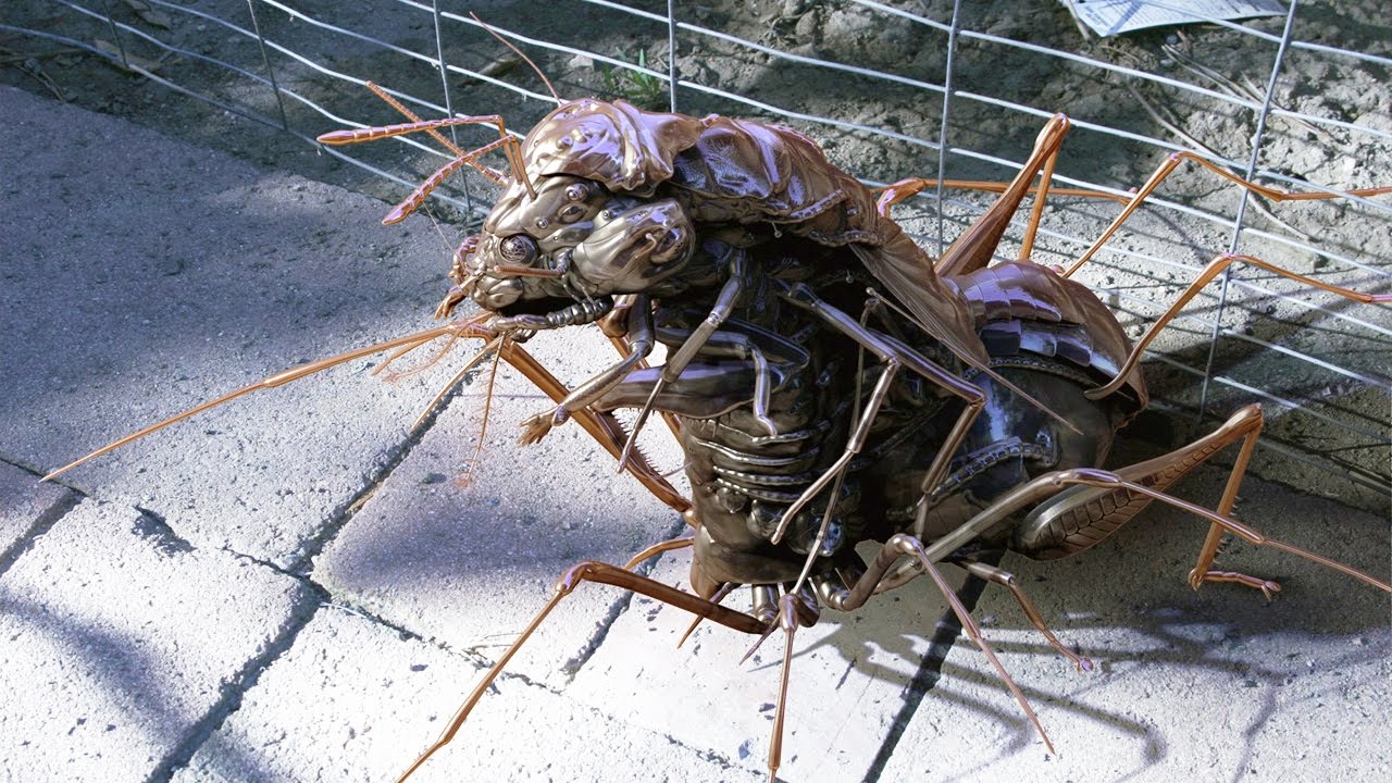 "10 INSECTOS MÁS PELIGROSOS DEL MUNDO" impresionante ~ MonocucoTimes