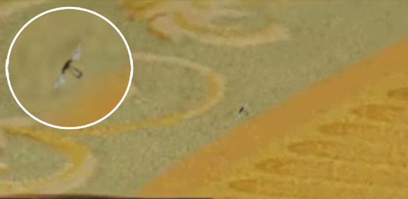 STRANGE AND SHOCKING FACTS: STRANGE HIDDEN CAMERAS, AMAZING AND BIZARRE ...