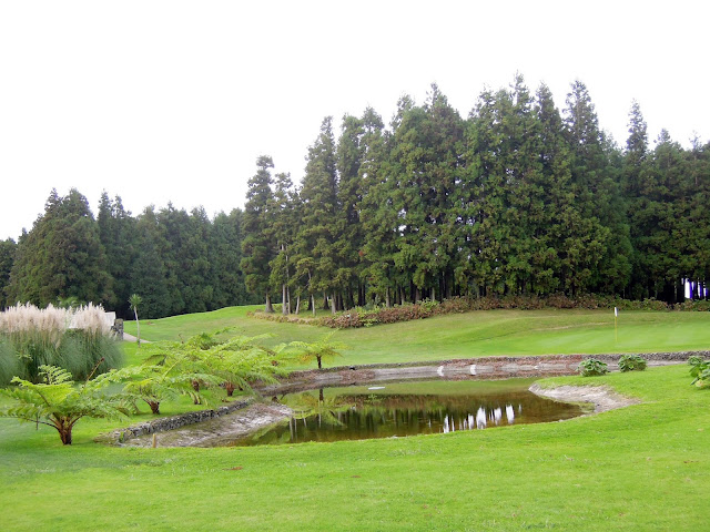 Franks Dairy Farm - Terceira Azores - Wanderings