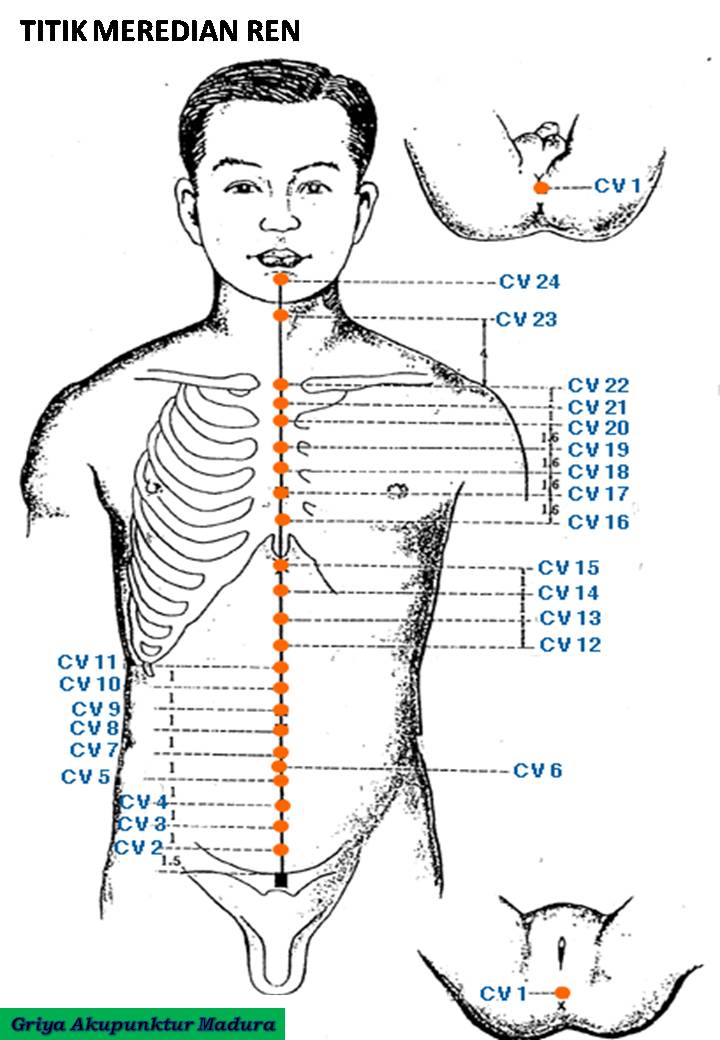 Ilmu Titik Meridian Akupuntur Dan Akupresur: TITIK MERIDIAN REN /CV