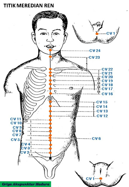 GRIYA AKUPUNKTUR MADURA: TITIK MERIDIAN REN /CV