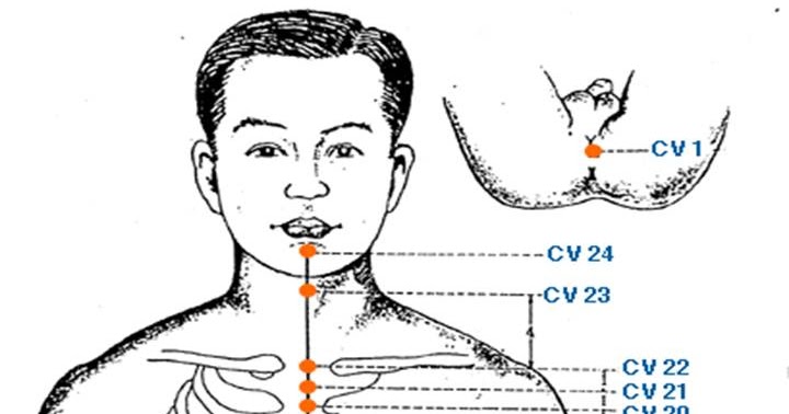 Ilmu Titik Meridian Akupuntur Dan Akupresur: TITIK MERIDIAN REN /CV