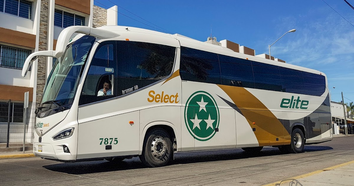 MAXIBUSES: ELITE SELECT