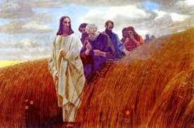 TEOLOGÍA DE MENOS A MAS: EL DIA DE REPOSO EN LOS EVANGELIOS