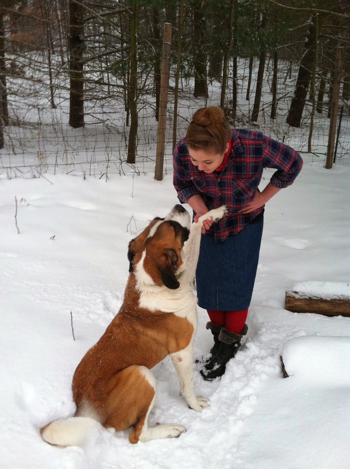 Calico Sisters: It's Finished Vol. 3 || The Destination Skirt from ...