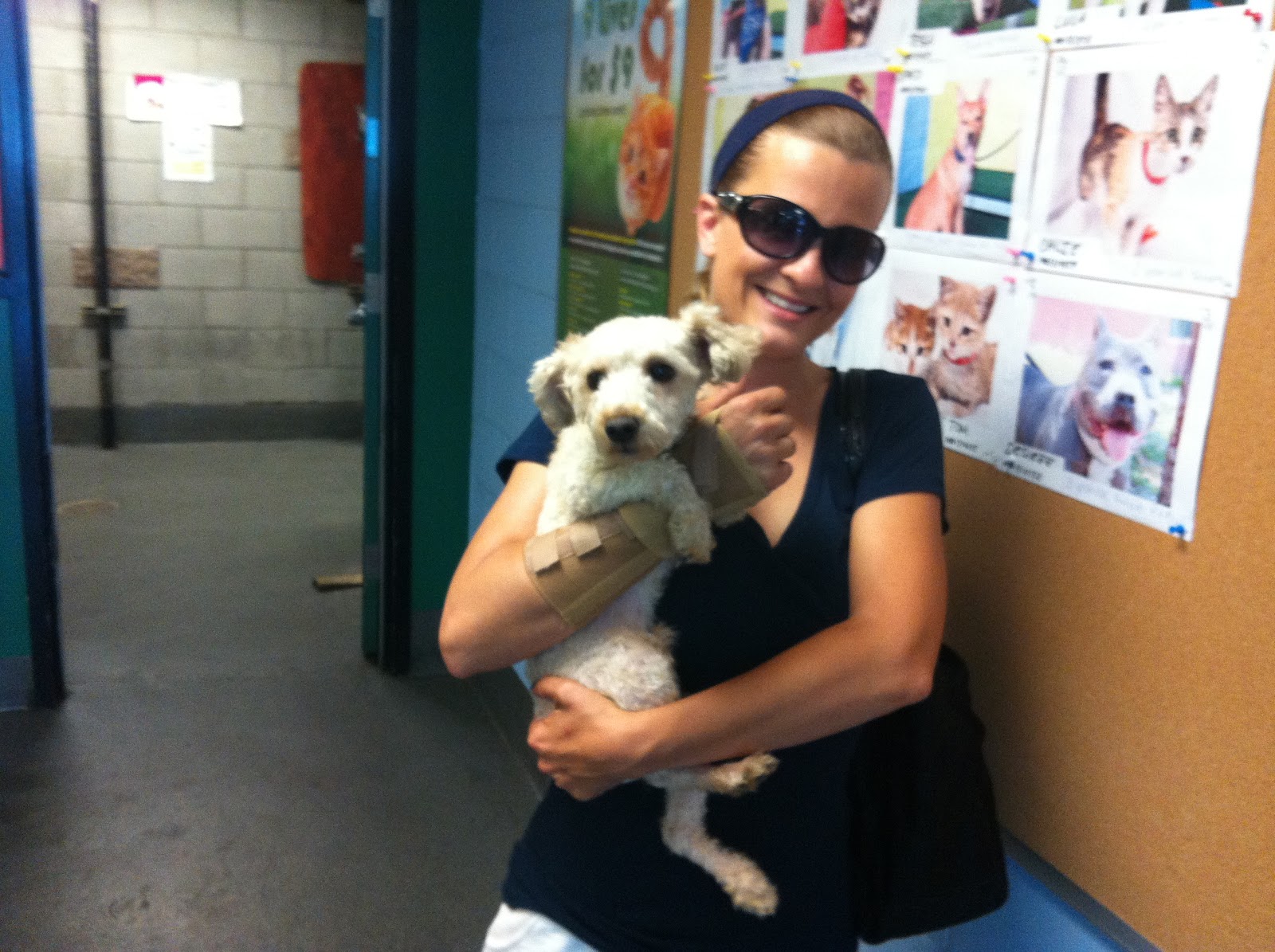 ♡The Animal Pad: Rescued Shelter Dogs♡: Helping One of Our Own