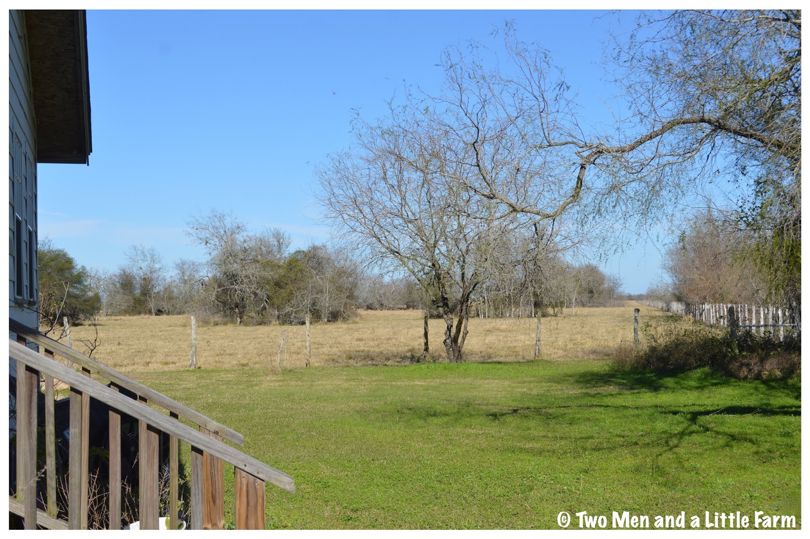 Two Men and a Little Farm: CLEAR SKIES AND LONG WEEKEND