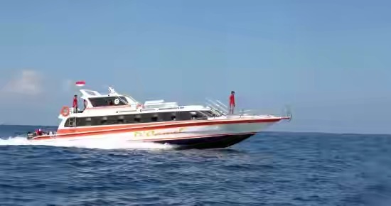 D'Camel Fastboat