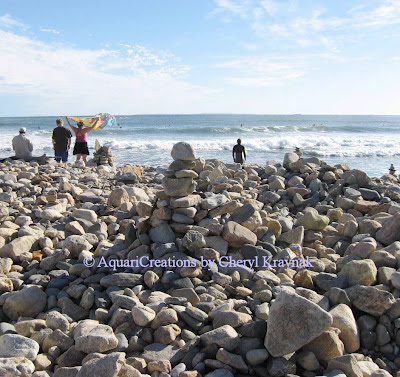 Windswept at the Beach: It was a Surf's Up! Sunday at Point Judith ...