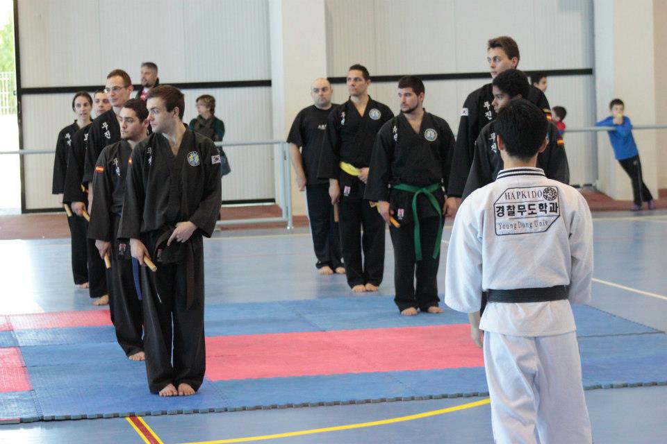 Delegación Hapkido Valencia: II Seminario del Maestro Lee en Valencia