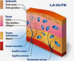 Bio Cosmetica Natyral: Lekura