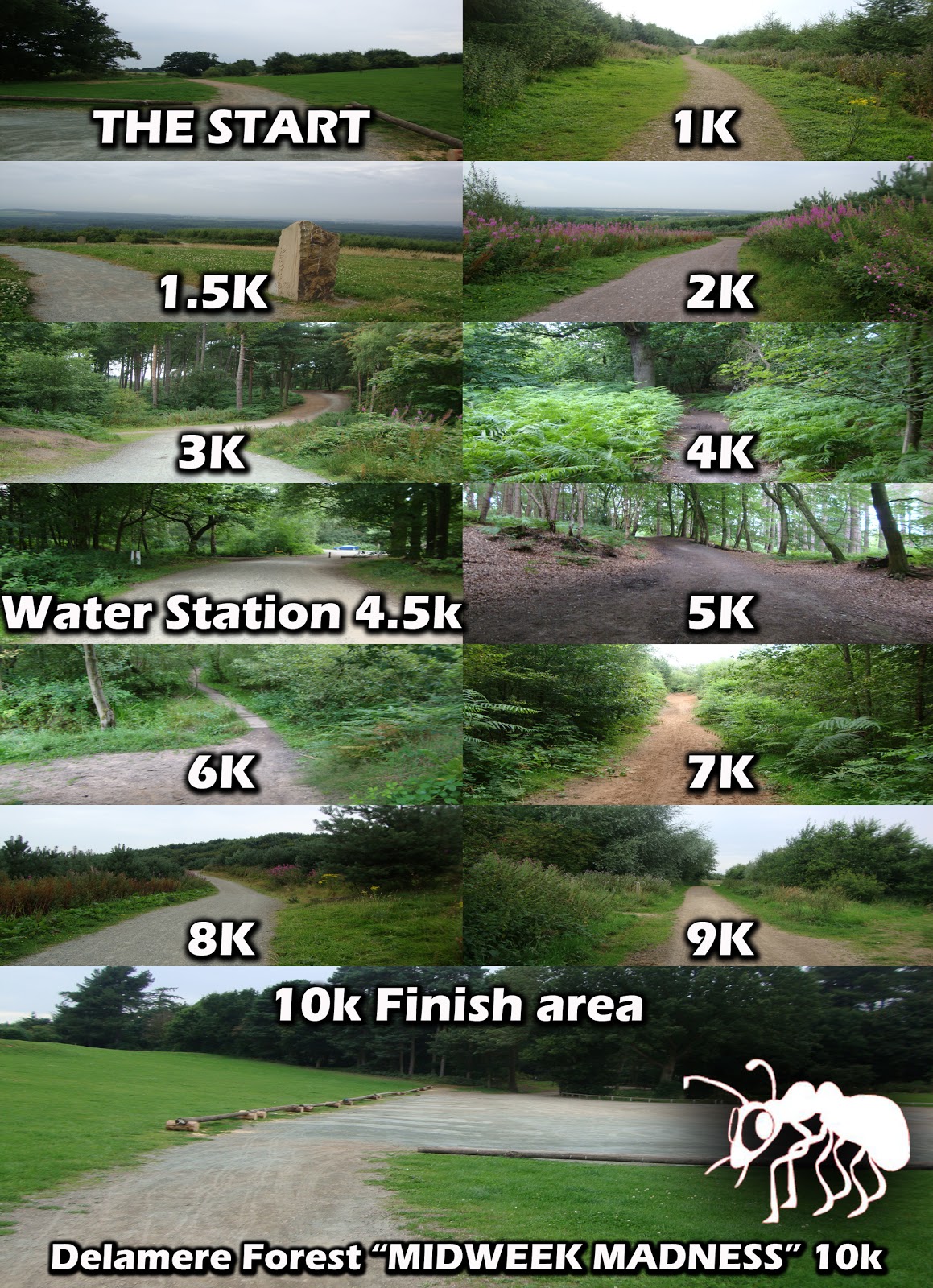 Fitness, Running & Stuff: Week 12 day 1 & 2 - Delamere Forest 10k ...