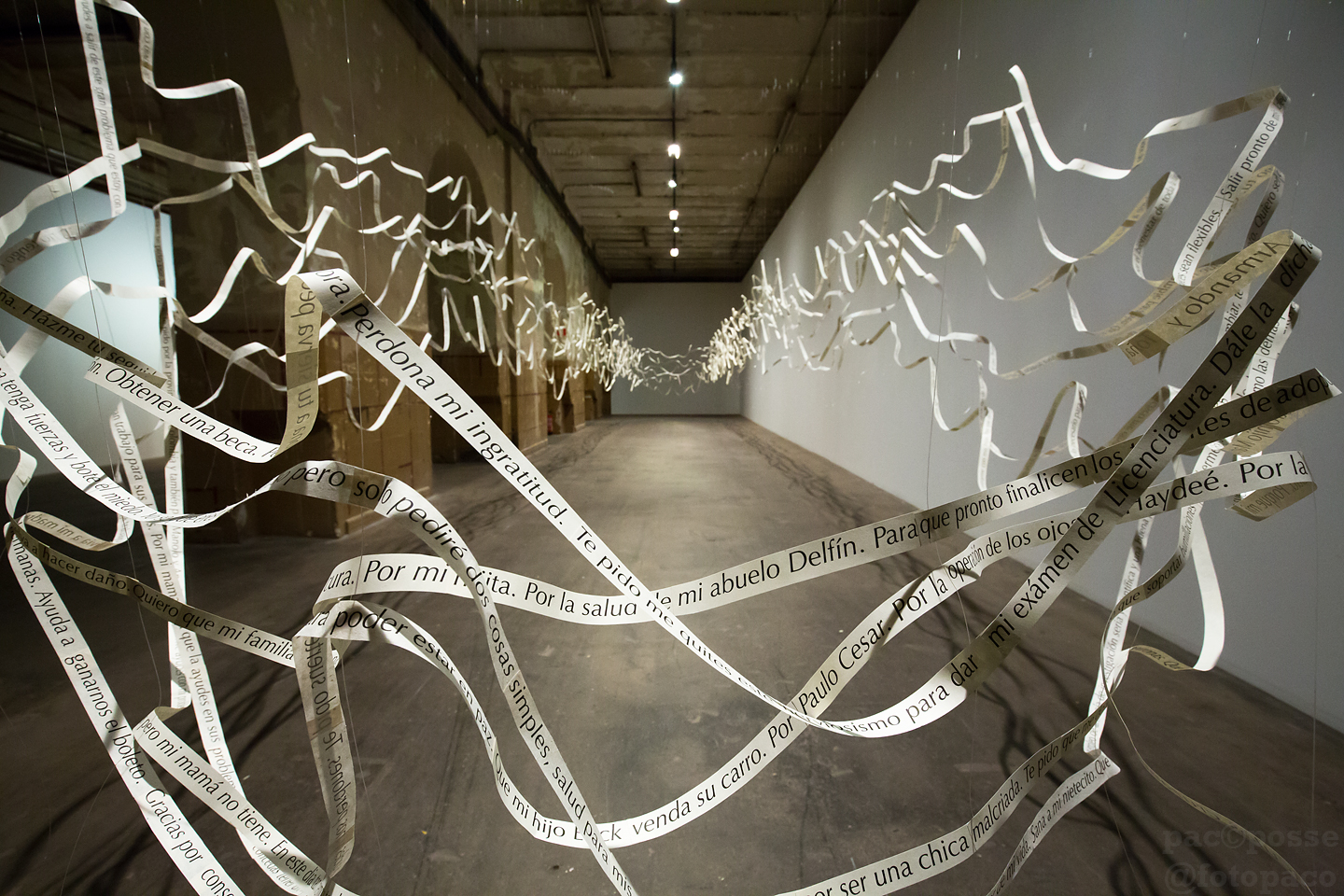 Letraxx: Oyendo con los Ojos. Cecilia Paredes.