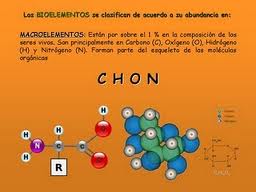 Viaje por la Biología: COMPONENTES MOLECULARES DE LA MATERIA VIVA