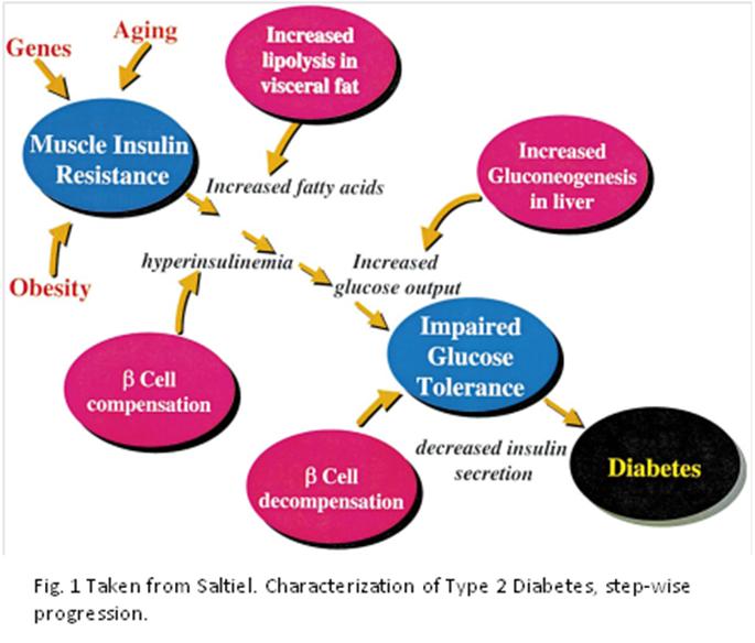 Cal Poly Pomona Bronco Fitness Center: Type 2 Diabetes
