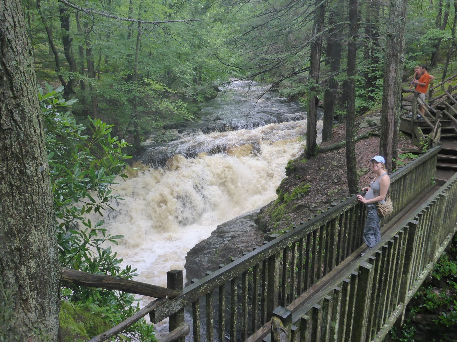 The New York Escapist: Bushkill Falls: Waterfall hiking less than 2 ...