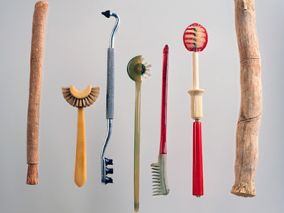 Evolution of the Toothbrush
