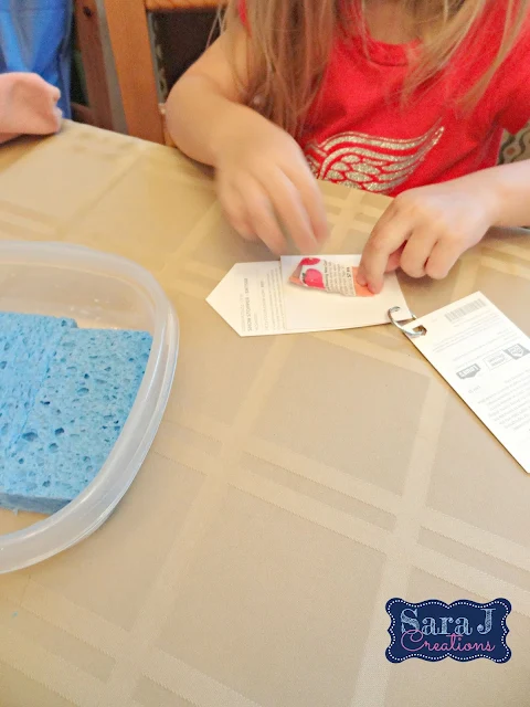 Color and Shape Fine Motor Ideas: Color Books | Sara J Creations