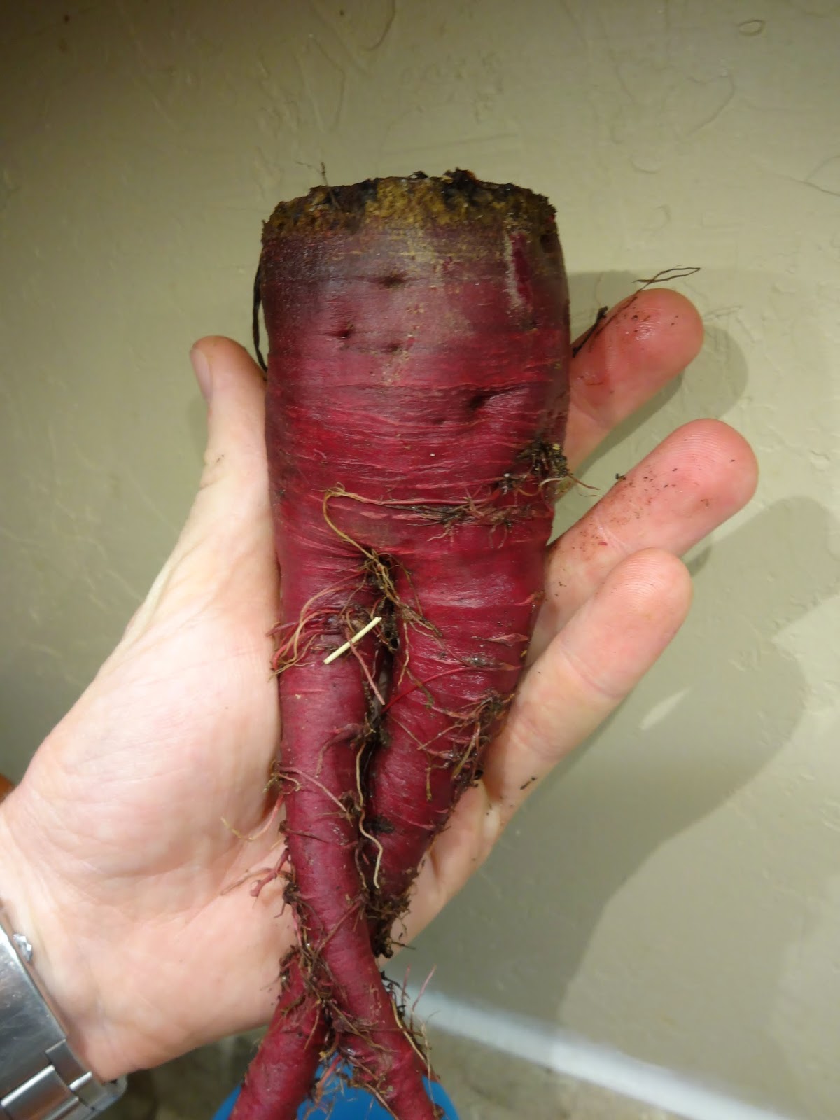 The Scientific Gardener: 4/1/14 - 5/1/14