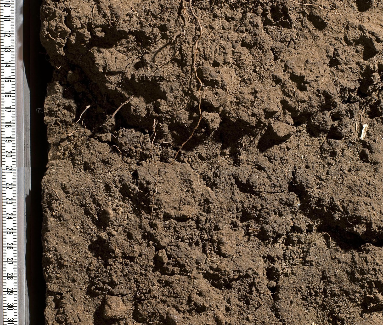 Suelos en geografía