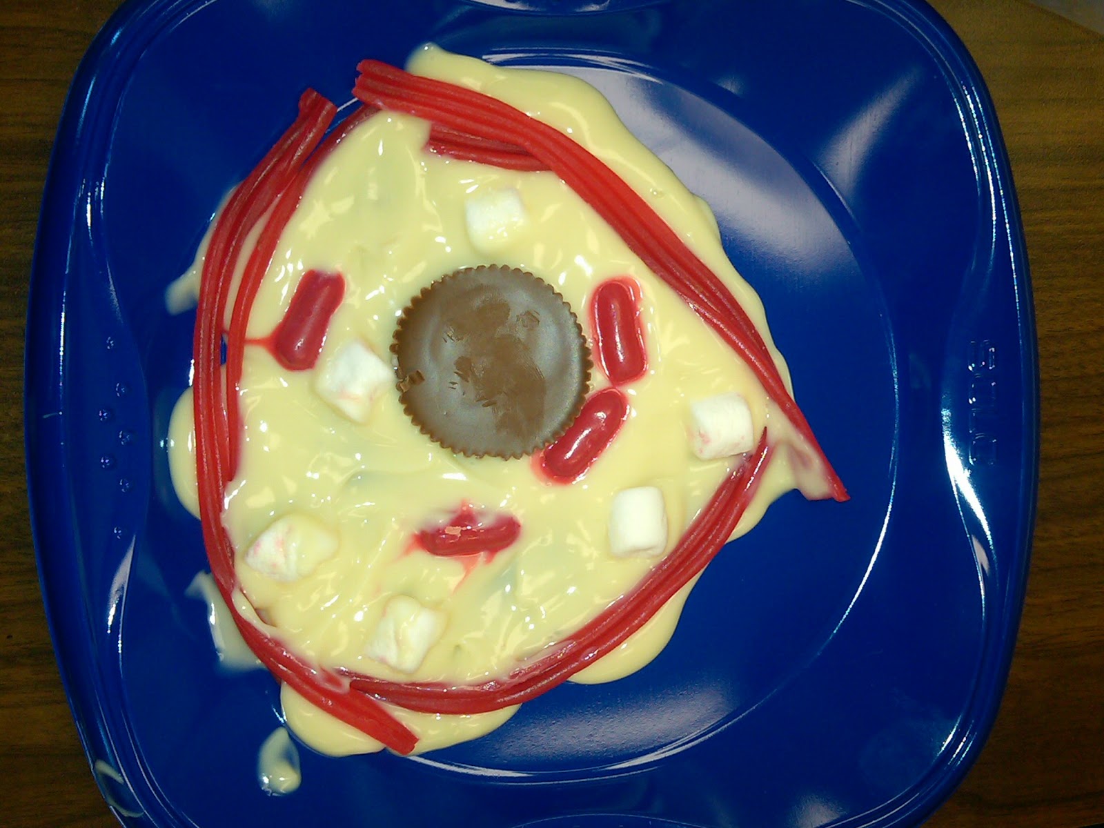 Mr. Boresi's Blog: Plant and Animal Cells