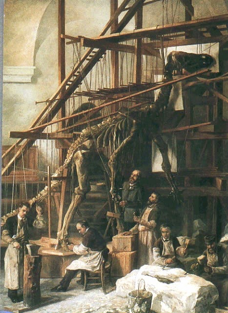 Iguanodon, el dinosaurio peor montado de la historia - Ad Absurdum