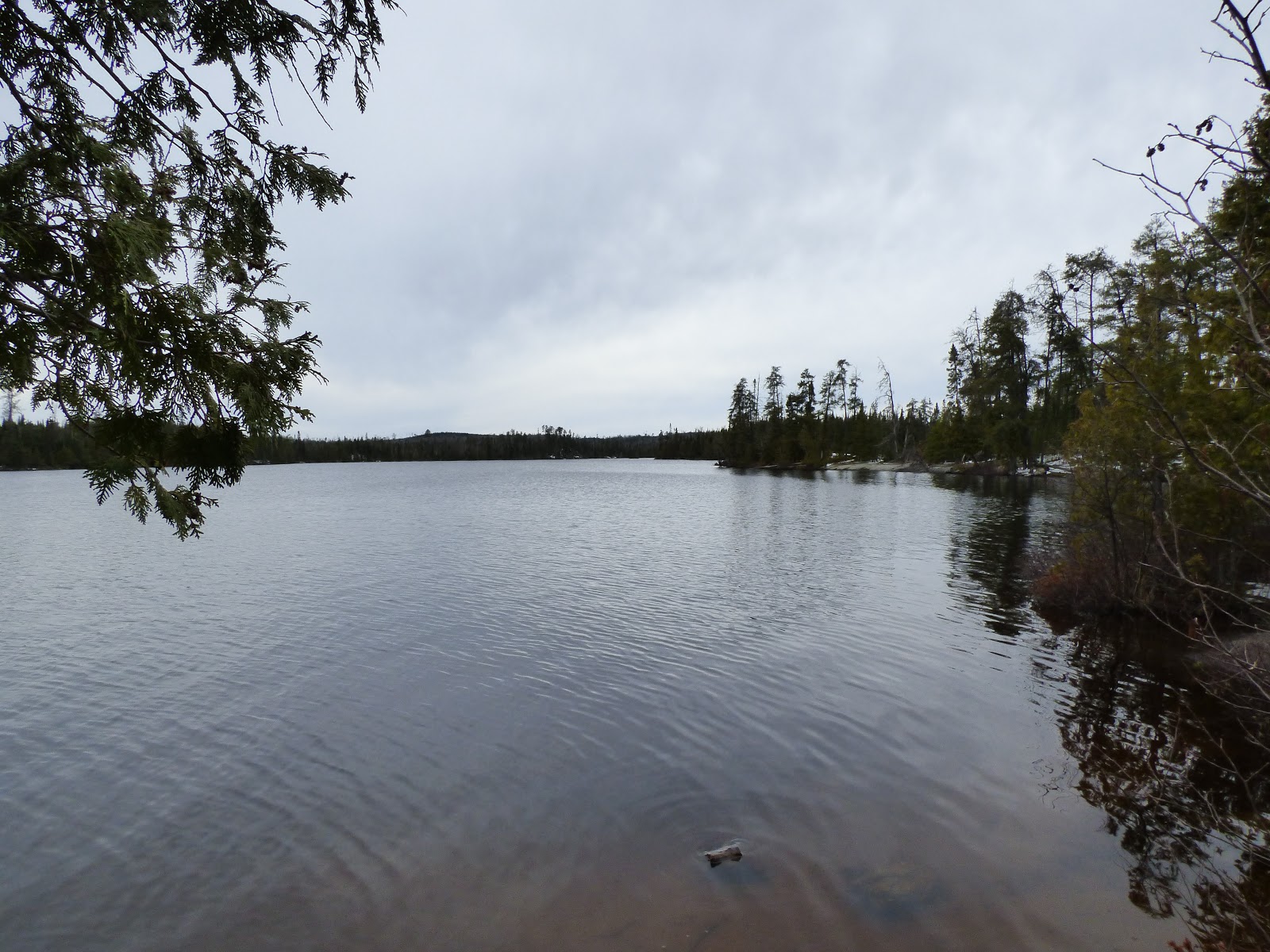 Tales of a Naturalist, Musician, Firefighter, and Radio Host: Ham Lake ...