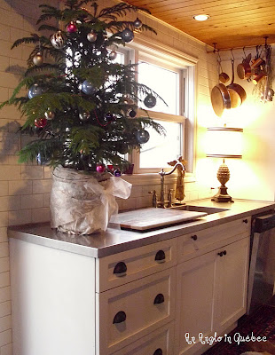 An Anglo in Québec: Kitchen Tree