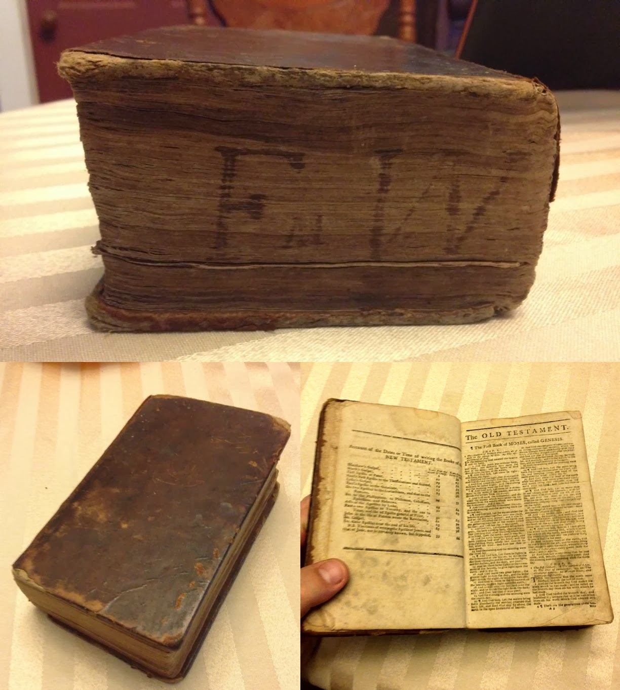 A Little History of Crockett County from Frances Wood’s Bible