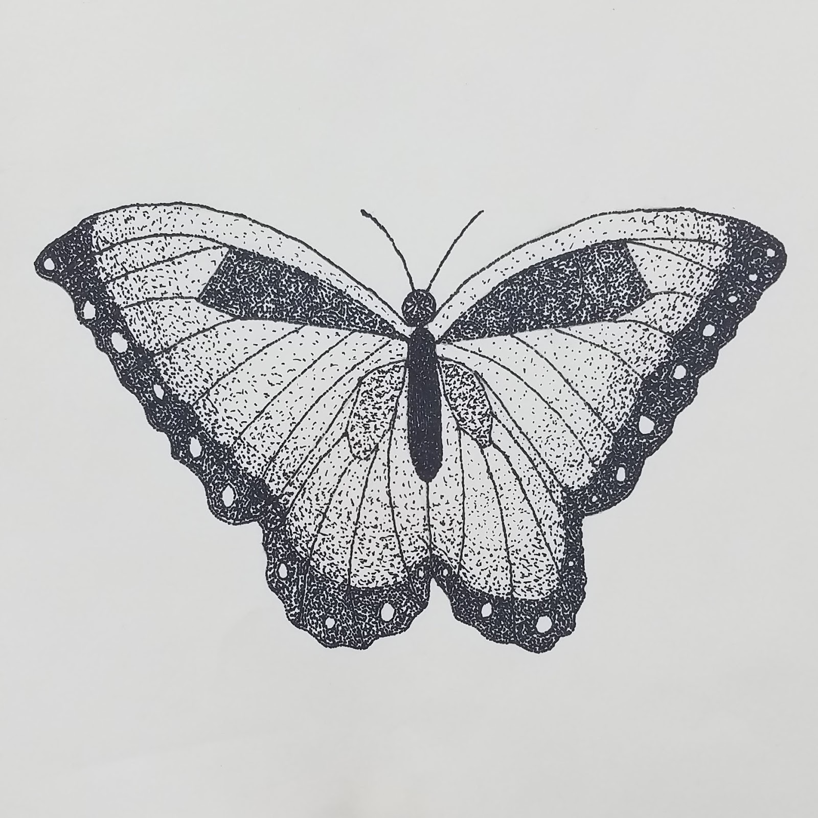 Jerdee's Art Classes: Drawing A | Stipple / Hatch / Cross Hatch