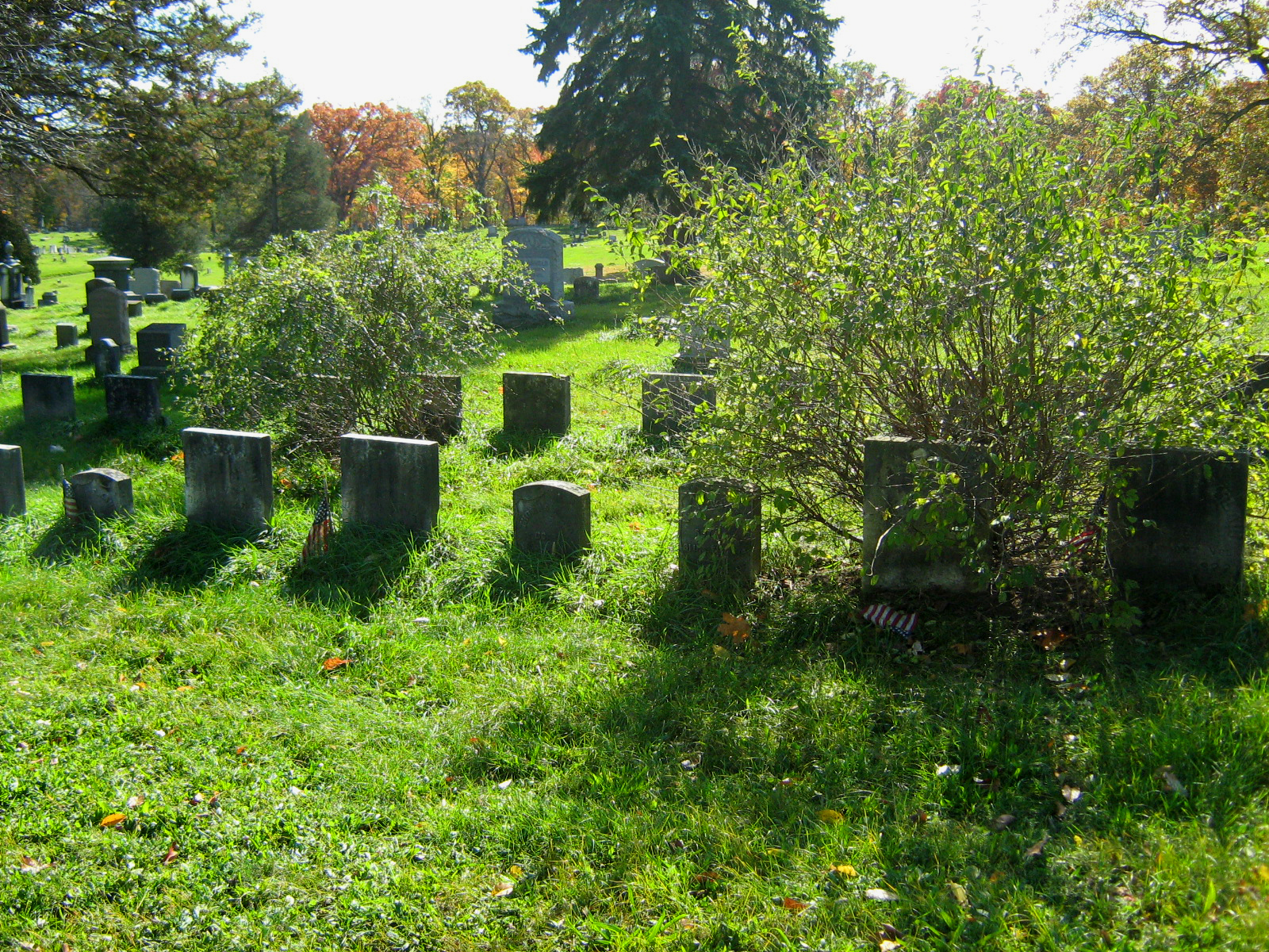 Albany Rural Cemetery - Beyond The Graves: February 2013 Albany Rural Cemetery - Beyond The Graves: February 2013