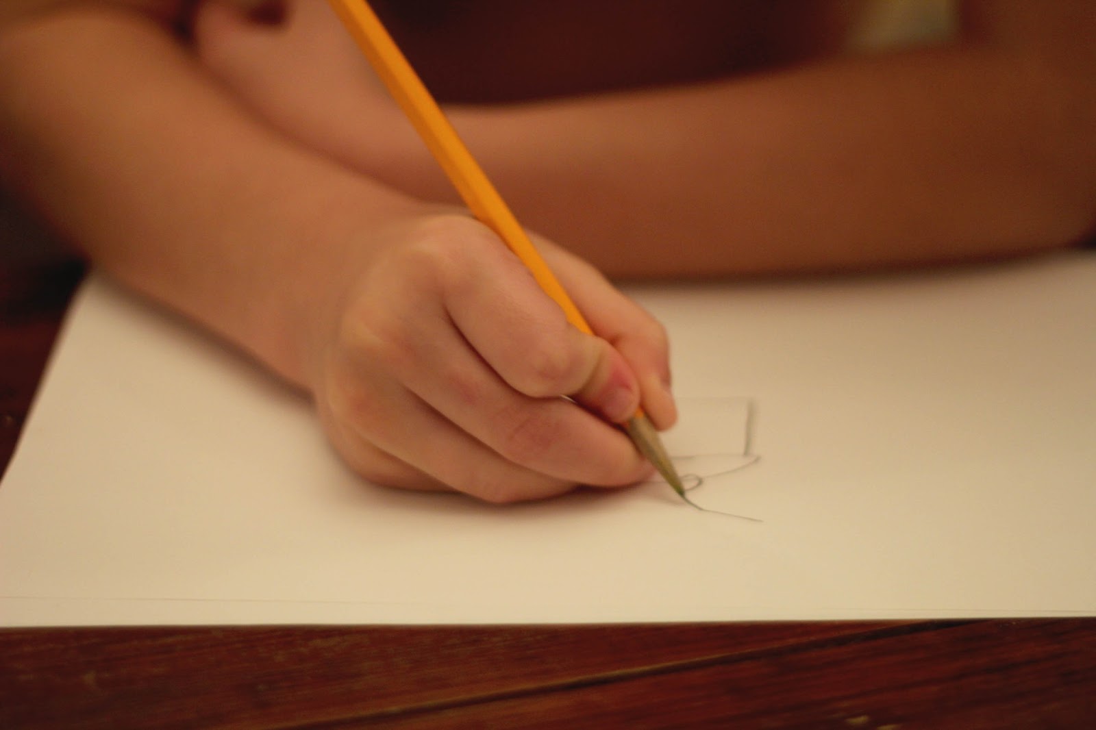 sassafras: interactive drawing :: children's art project