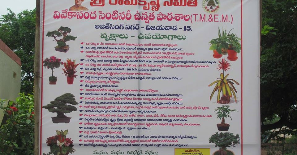 TELUGU WEB WORLD: SAVE PLANTS - SAVE EARTH