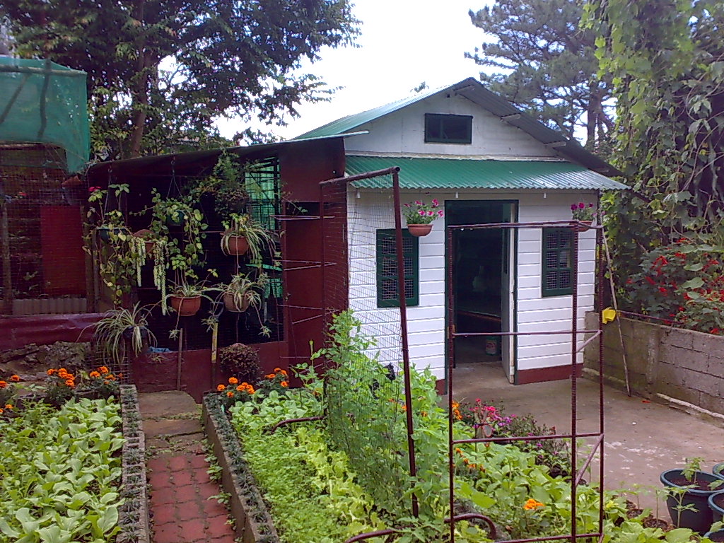 Raising Rabbits: Advantages in Small Backyard Rabbitry