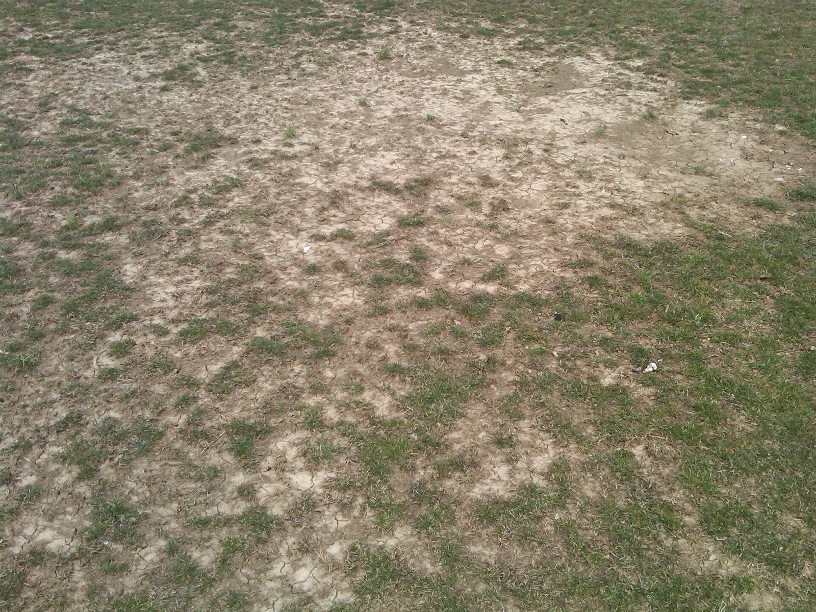 How To Soccer: Athens Soccer Park: 1st day as Groundscrew