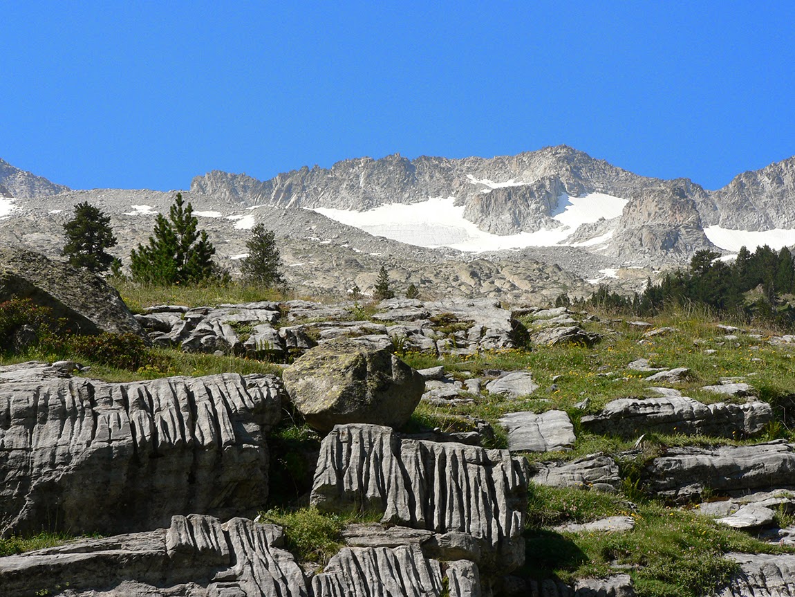 CURIOSIDADES CIENTÍFICAS : Lenares o Lapiaces