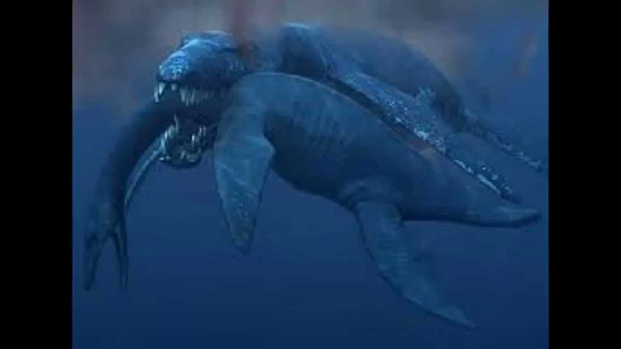 Mundo Tentacular: Mares Misteriosos - The Bloop - Um estranho rugido ...