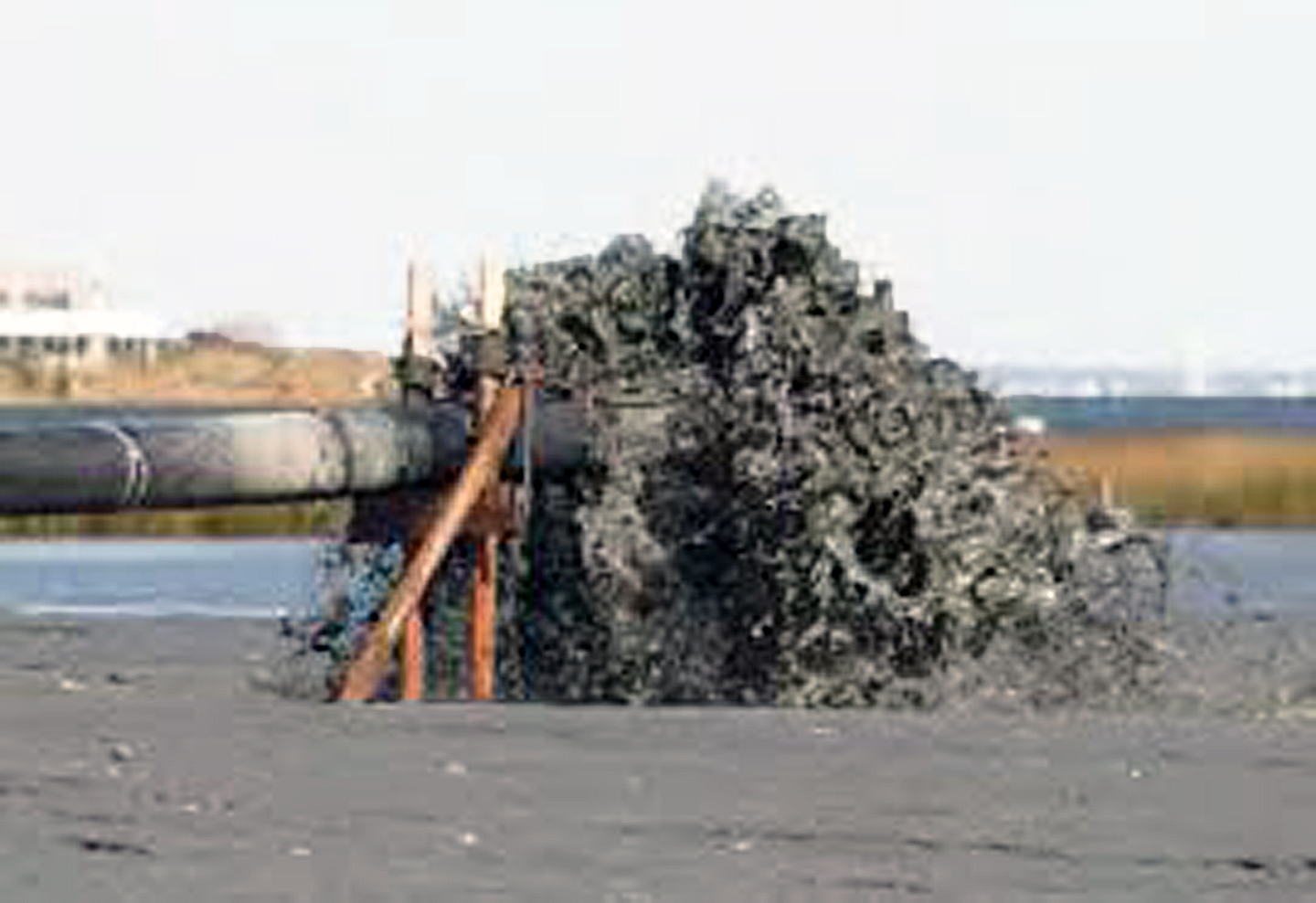 Clean Ocean Action: Stuck in the Mud