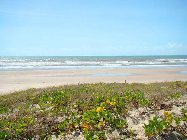 Bem-vindo à SERGIPE: Praia do Abaís, no município de Estância