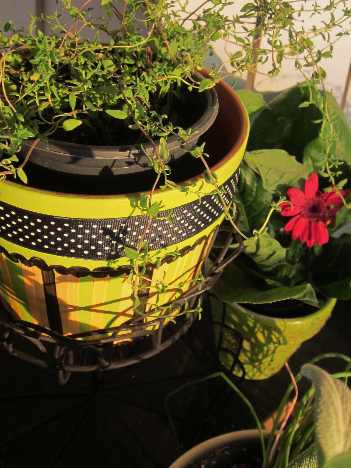 Chef Tess Bakeresse: Smokin' Pots...Some Garden Crafty-stuff from cheap ...