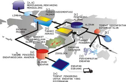 Bioteknologi Lingkungan | BIOLOGIPEDIA