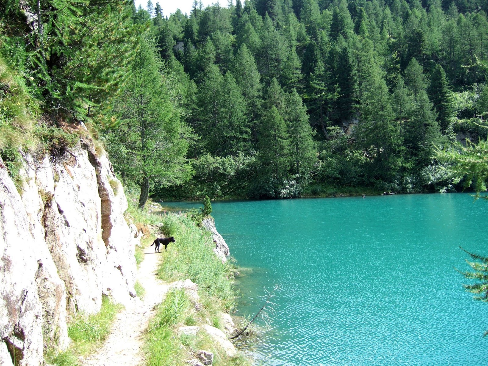 Schwarze Pfoten: Wandern am Ritomsee