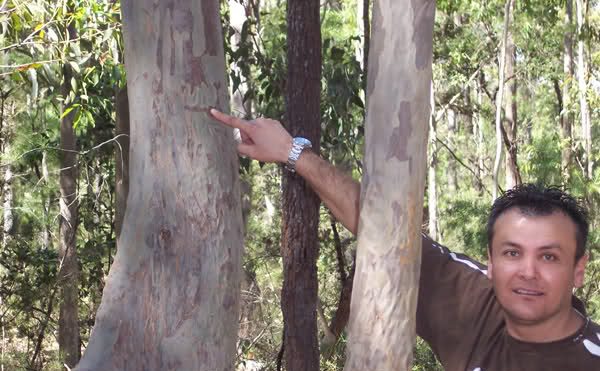 DUNIA MEMANG ANEH: POKOK RUKUK