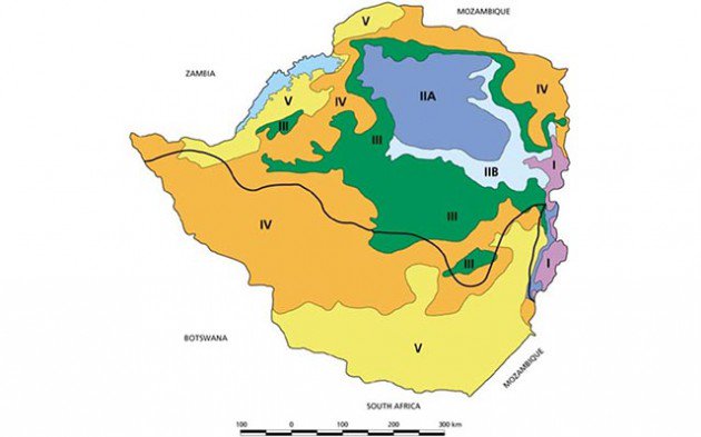 NewsdzeZimbabwe: DROUGHT LOOMS IN ZIMBABWE