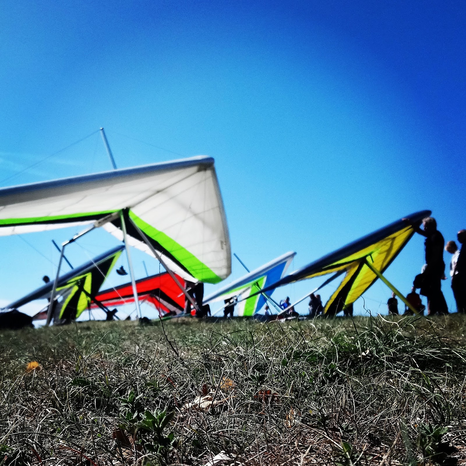 In volo libero con le poiane sull'Oltrepò