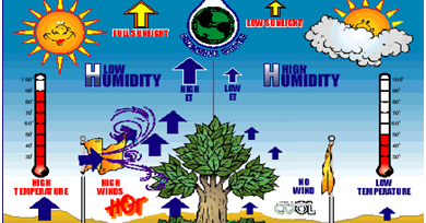Hubungan suhu, Tekanan dan Kelembaban Udara