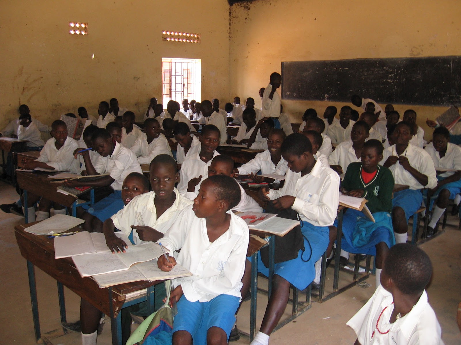 Halcyon High School: A level students