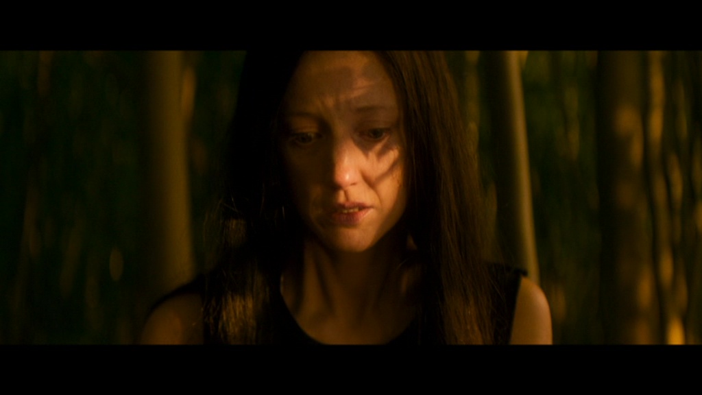 Room 207 Press: Cult Cinema #12: Mandy (2018)