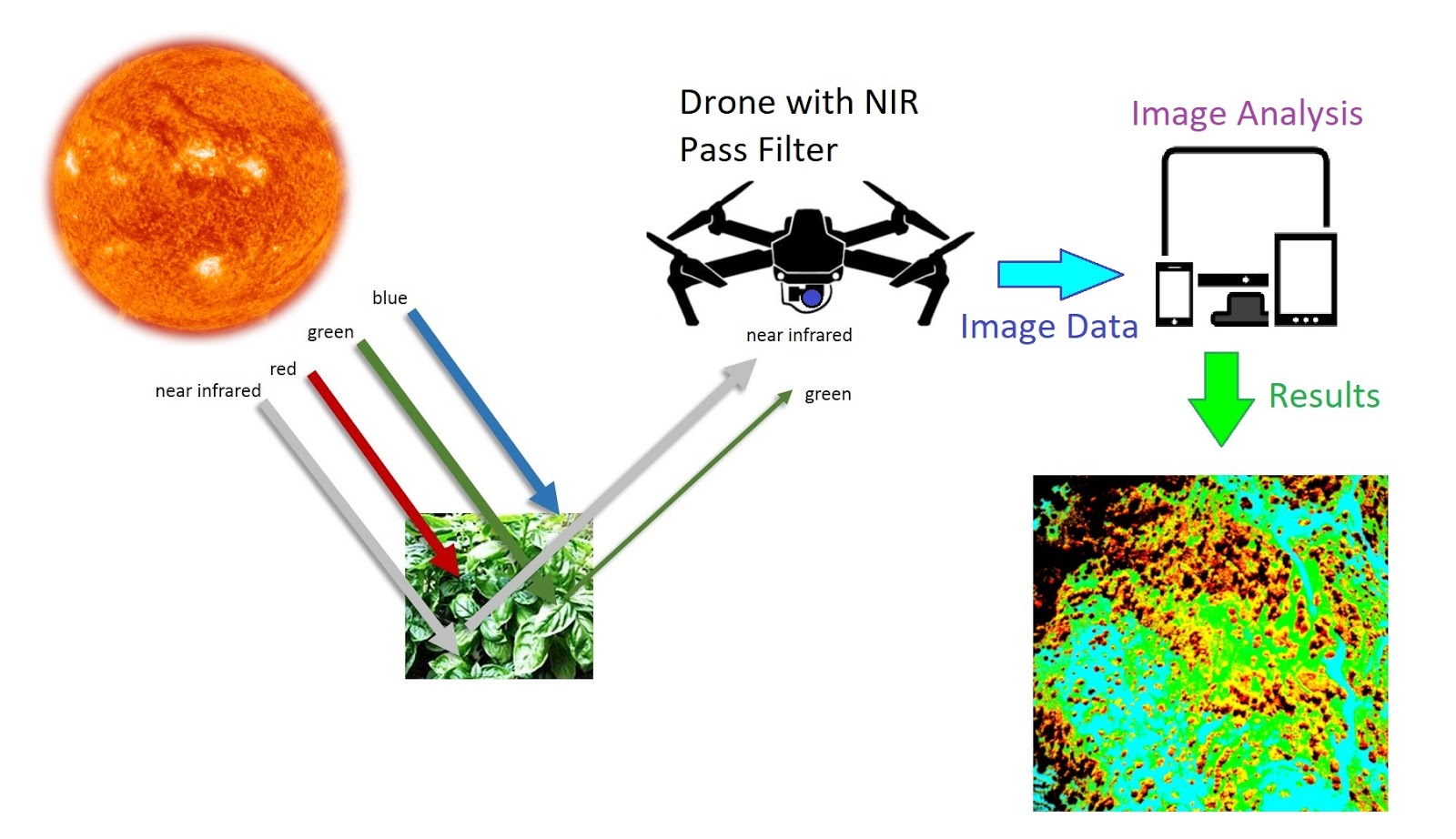 MuonRay: Drone-Based Vegetation Index using Custom Near-Infrared (NIR ...